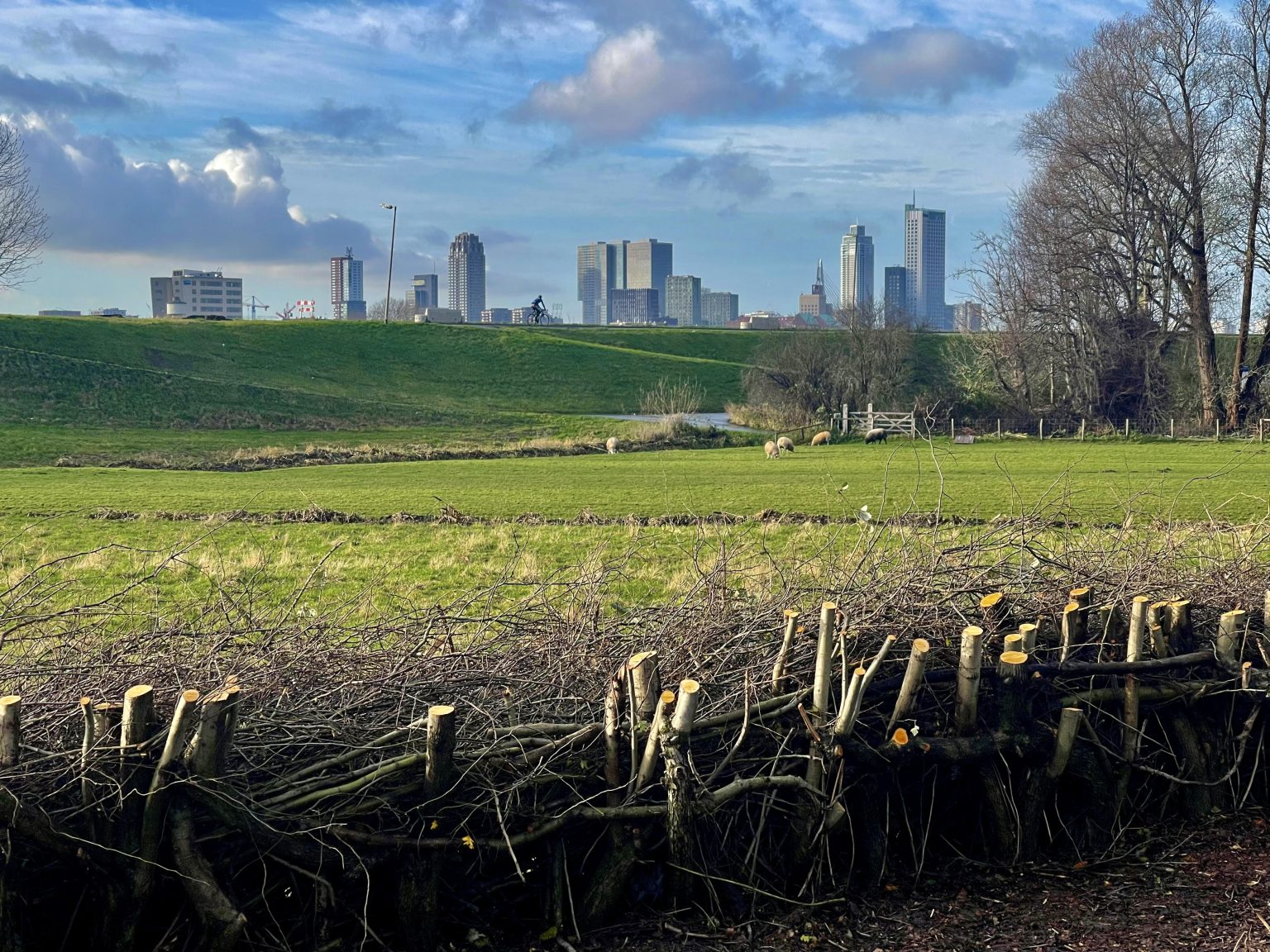 Filmmaker Hans brengt een ode aan de Esch met nieuwe docuserie - OPEN ...