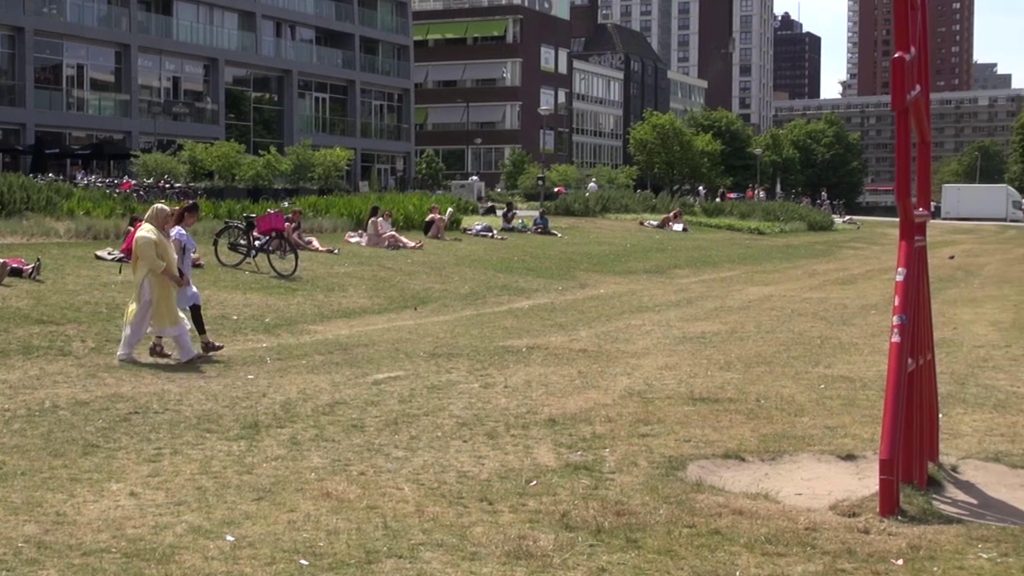 Bouw Rotta Nova start in september: geliefd grasveld Markthal maakt ...