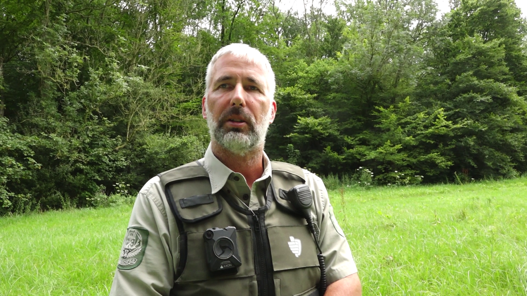 Boswachter Erwin houdt Kralingse Bos veilig: ‘Zorgen dat mens en natuur ...