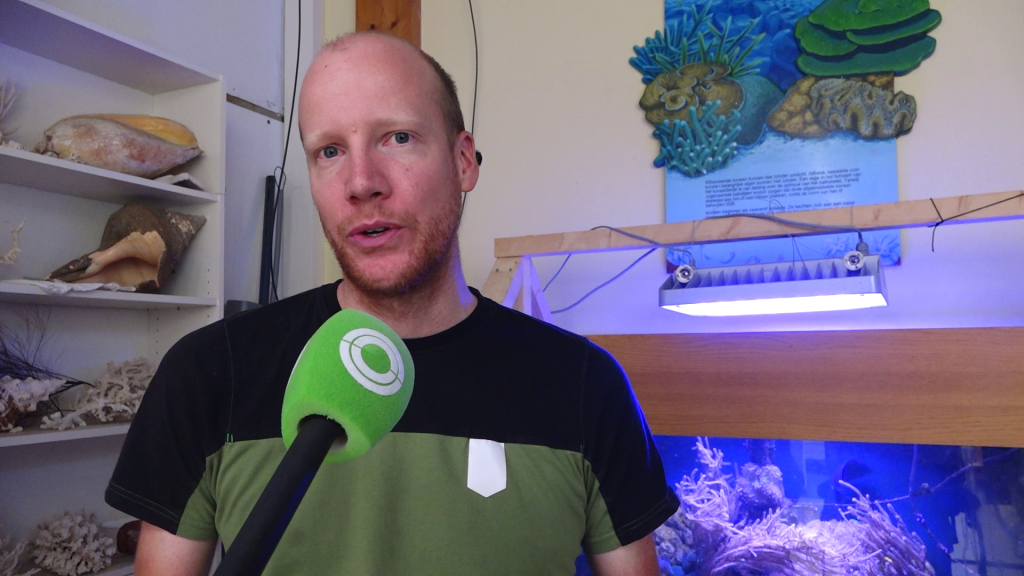 Sander kweekt vissen met Roffa Reefs om koraalrif te redden in ...