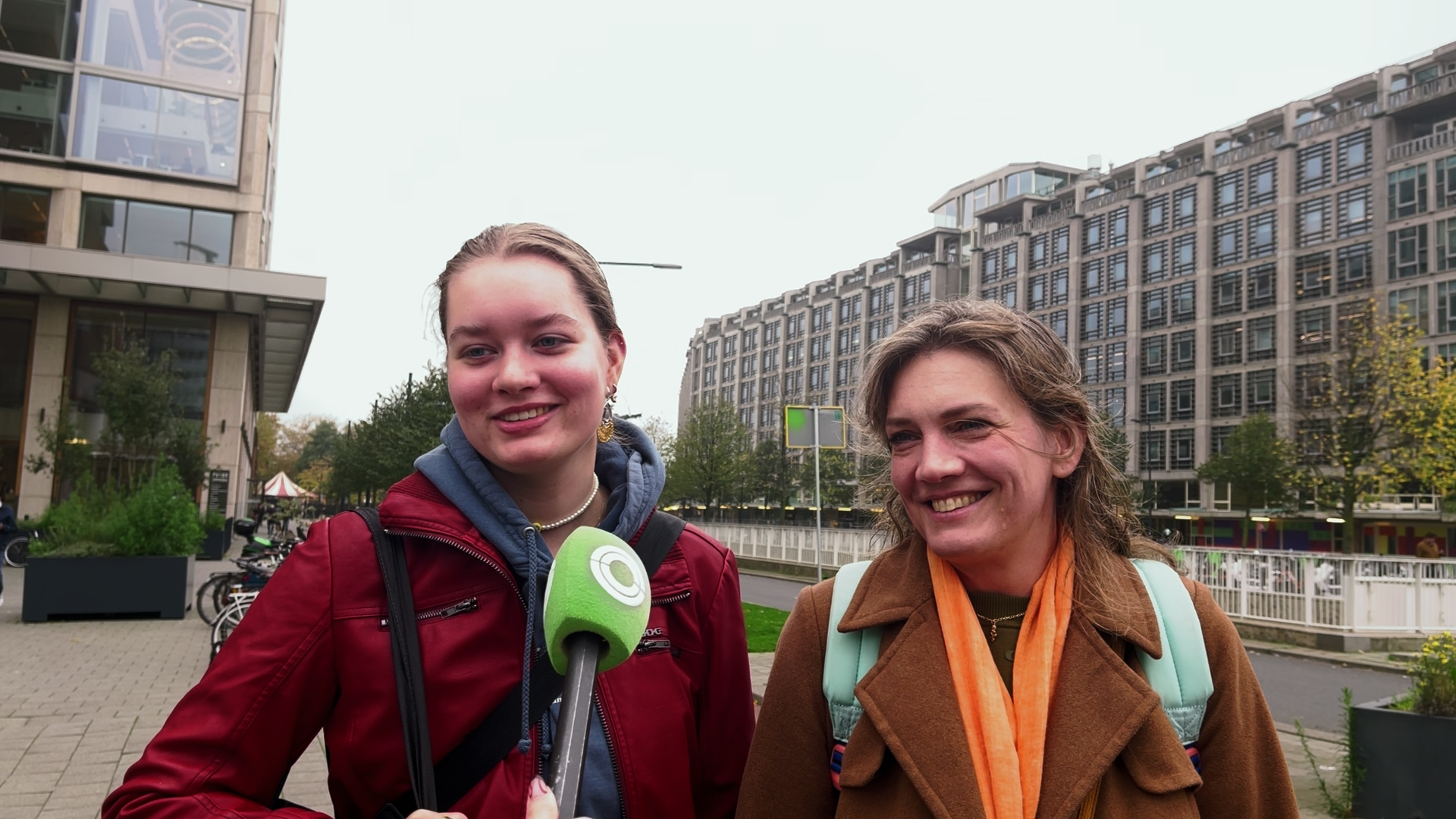 ‘Twee uur in de rij voor een achtbaan, dan verklaar ik je voor gek ...