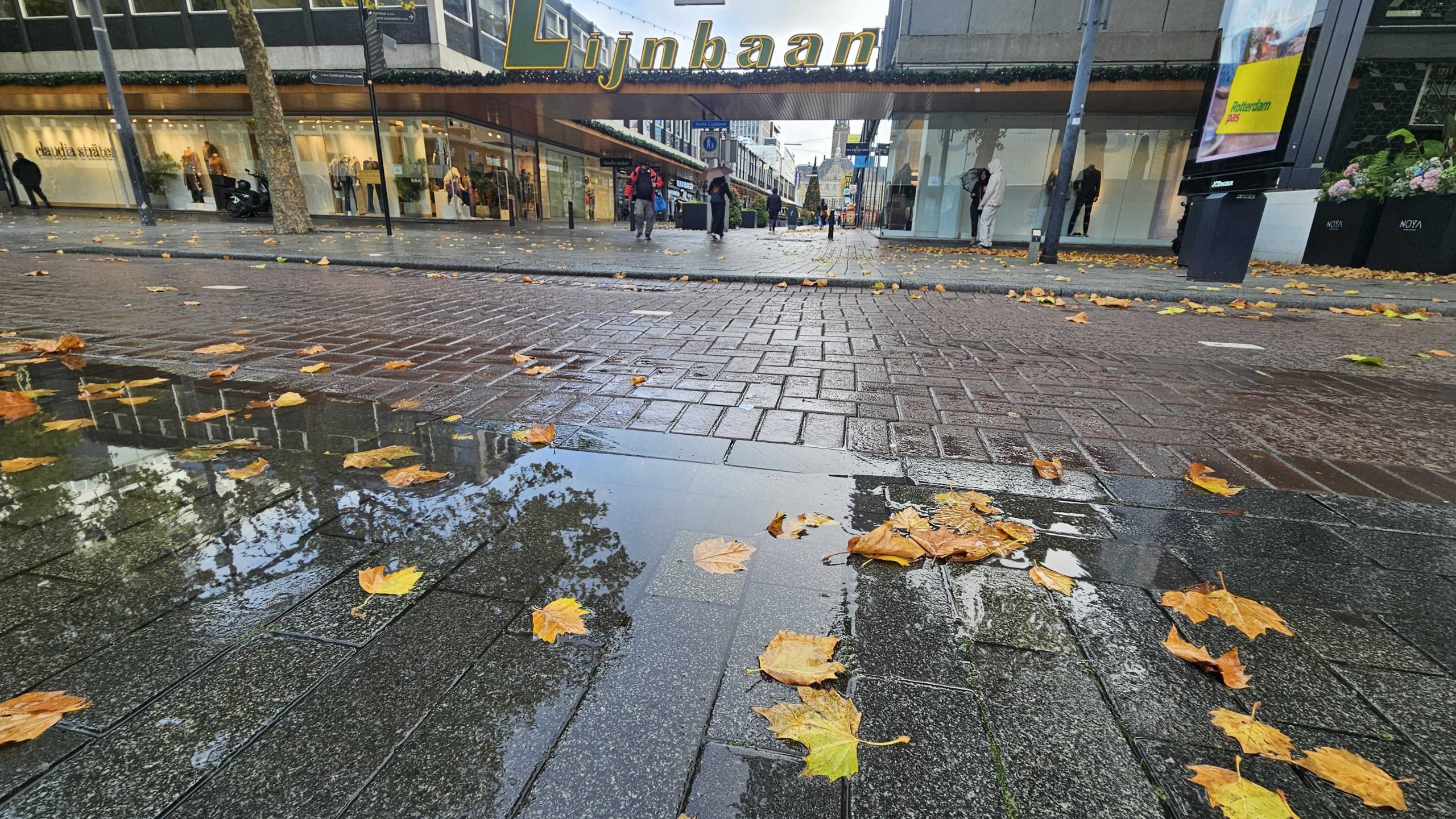 Storm Benjamin legt Rotterdam plat: Drukke spits en mogelijke ...